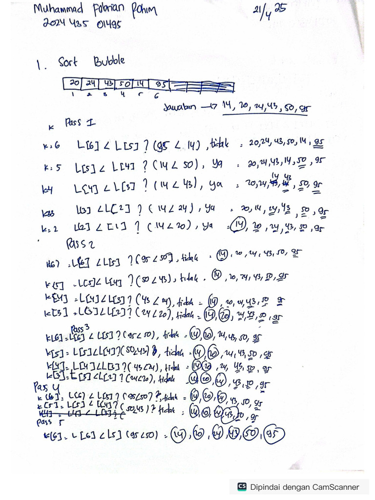 Muhammad Febrian Rohim_202443501495 Sort | PDF