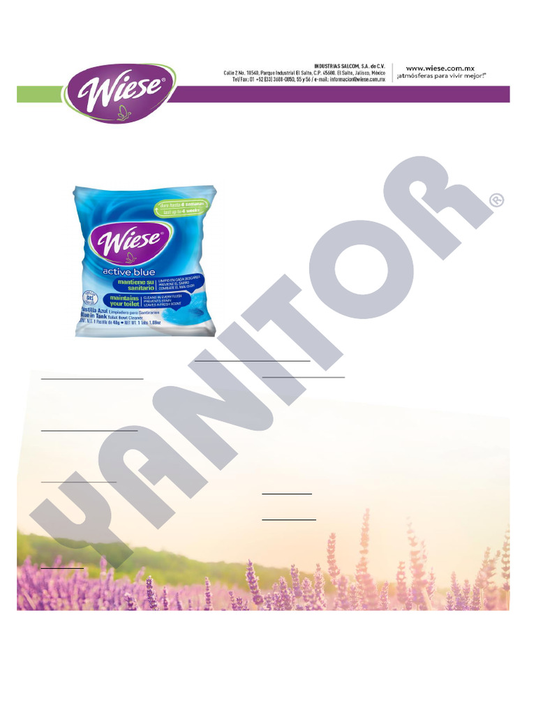 Pastilla Azul WIESE: Limpieza y Protección | PDF | Agua