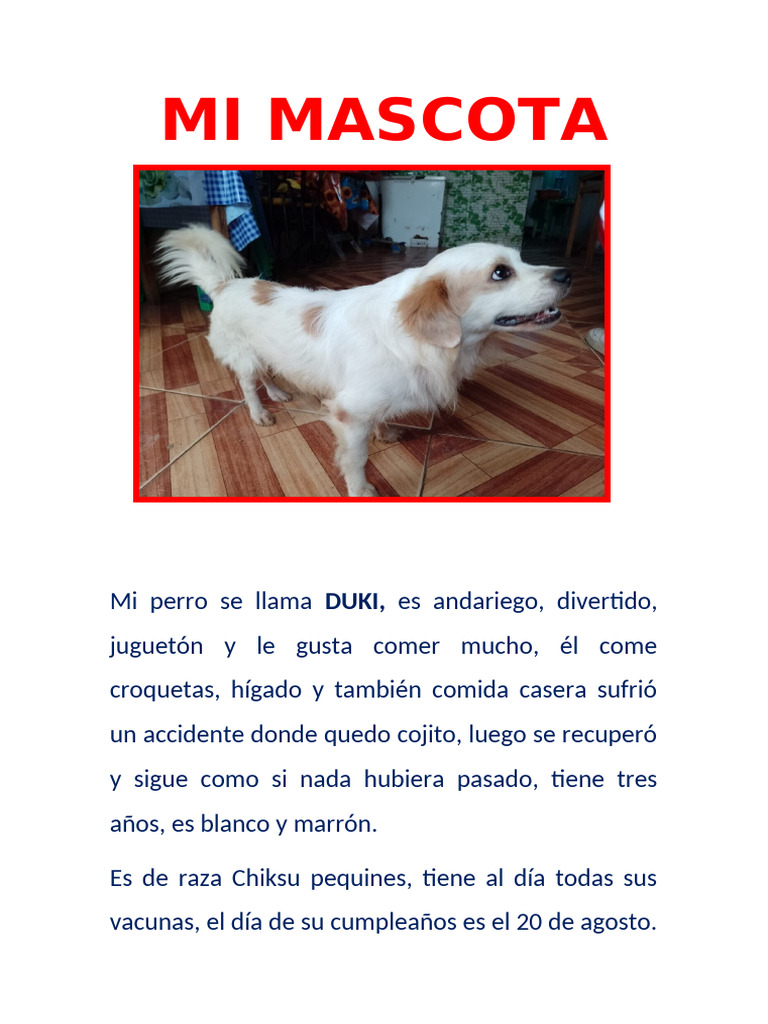 Mi Mascota Favorita | PDF