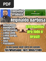 Bula ZAPP WG 720 | PDF | Agricultura