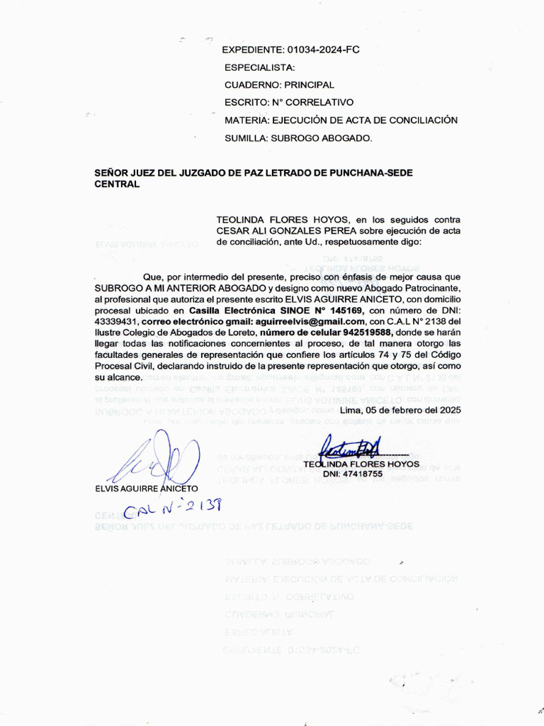 subrogo abogado 1034-2024 | PDF