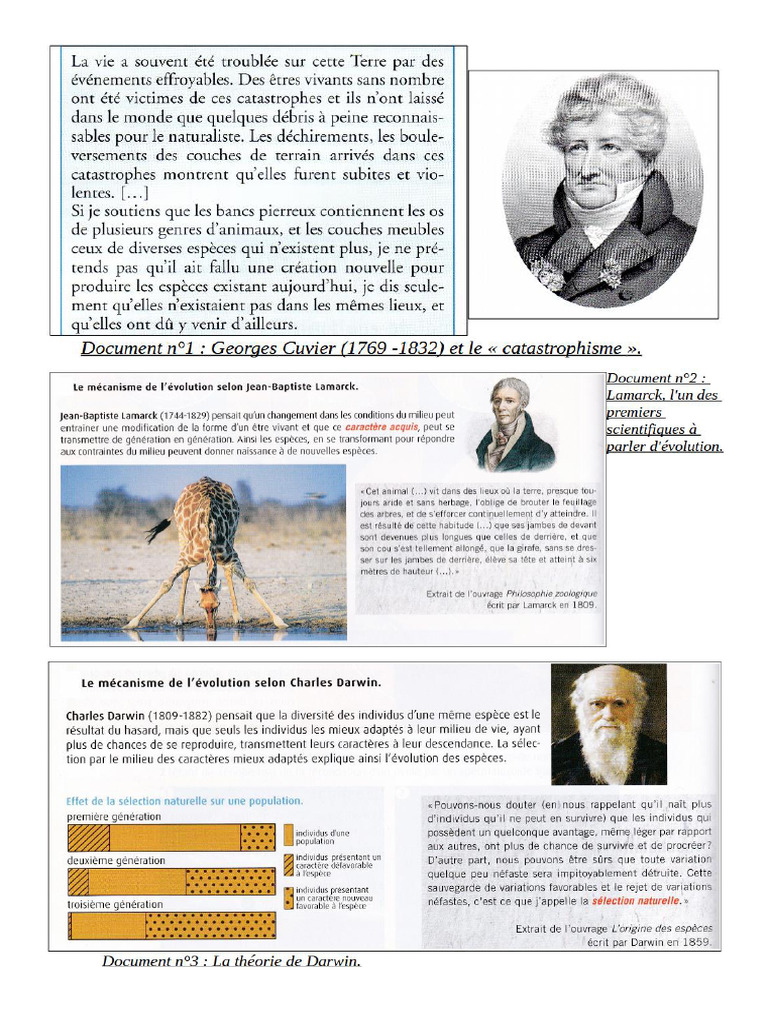 Théorie de l' Évolution | PDF