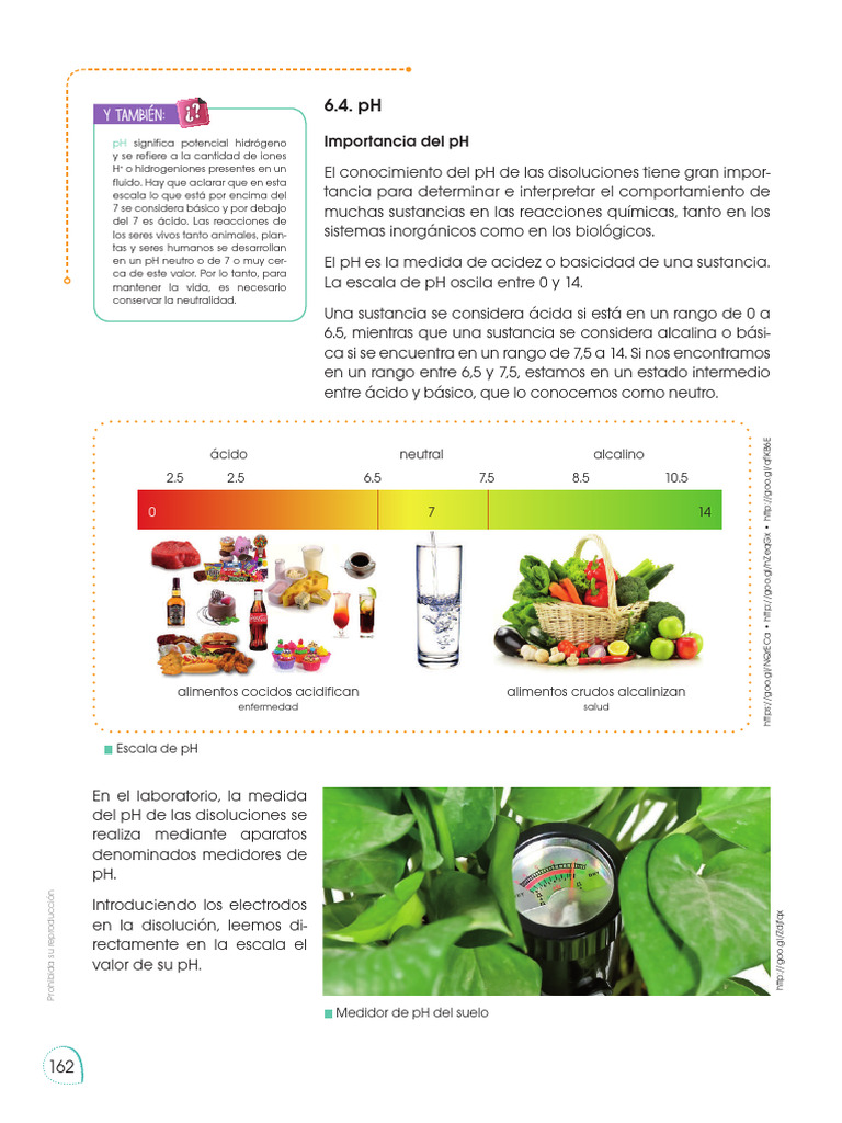 IMPORTANCIA DEL PH | PDF | Ph | Ácido