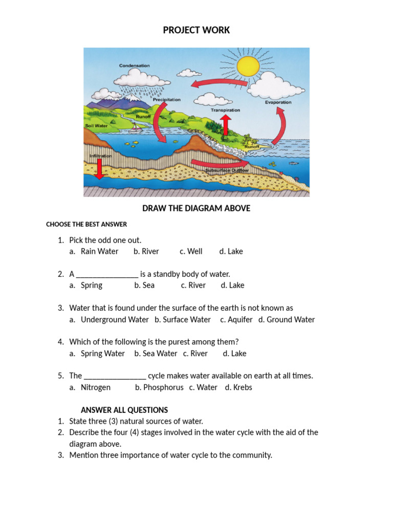 Water Cycle Quiz and Diagram Exercise | PDF