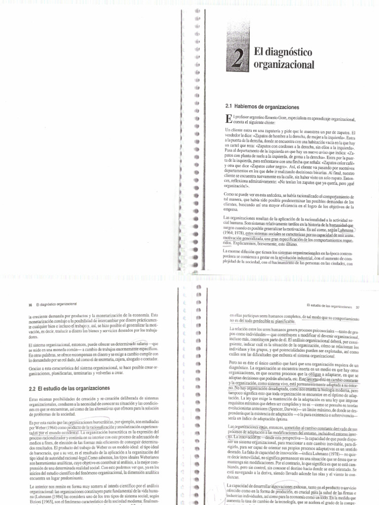 Darío Rodríguez Parte1 Cap2 | PDF