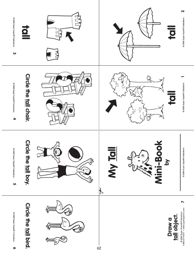 Basic Concept_ Tall,Short | PDF