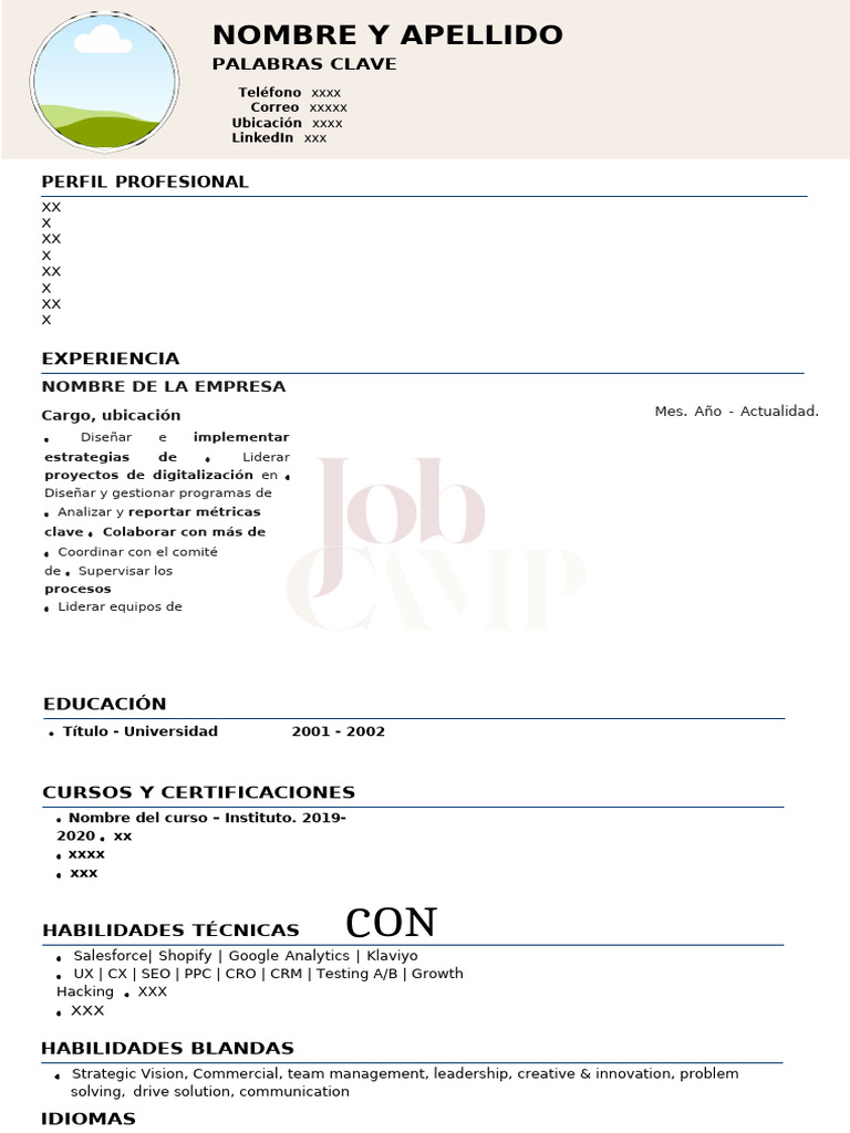 Formatos de CV PDF | PDF | Business | Tecnologías de la información