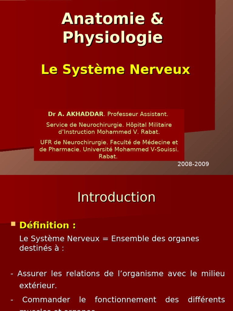 Anatomie Système Nerveux. Moelle. Akhaddar. 2008-2009 | PDF | Système ...