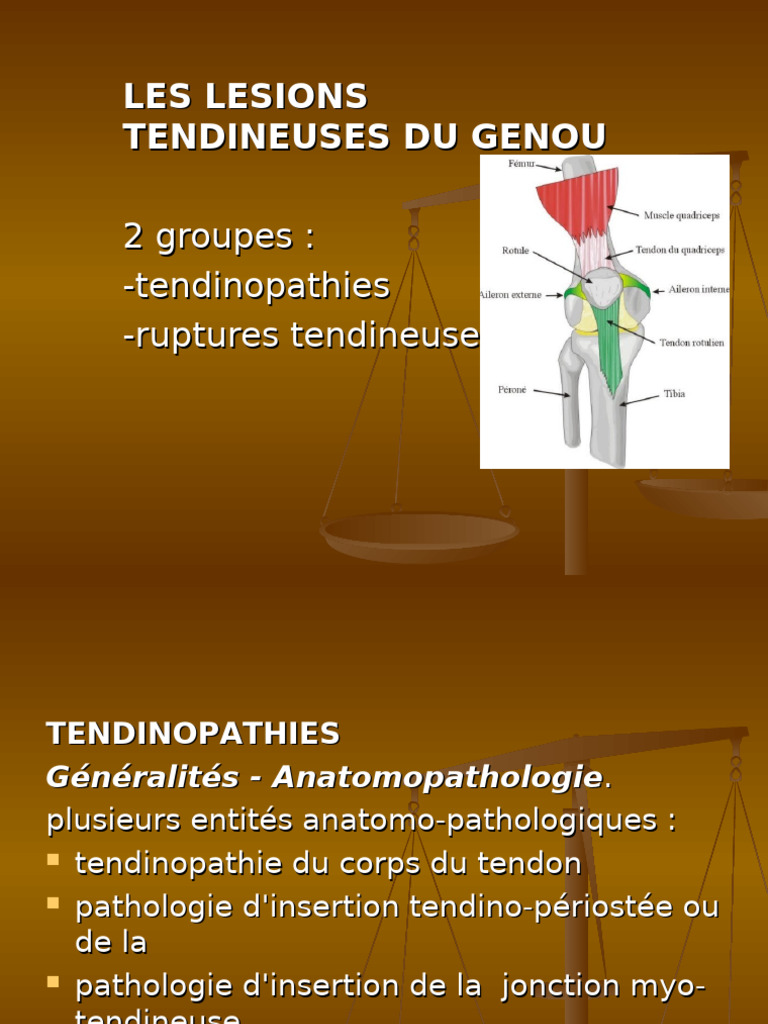 Les lésions tendineuses du genou | PDF | Genou | Appareil locomoteur