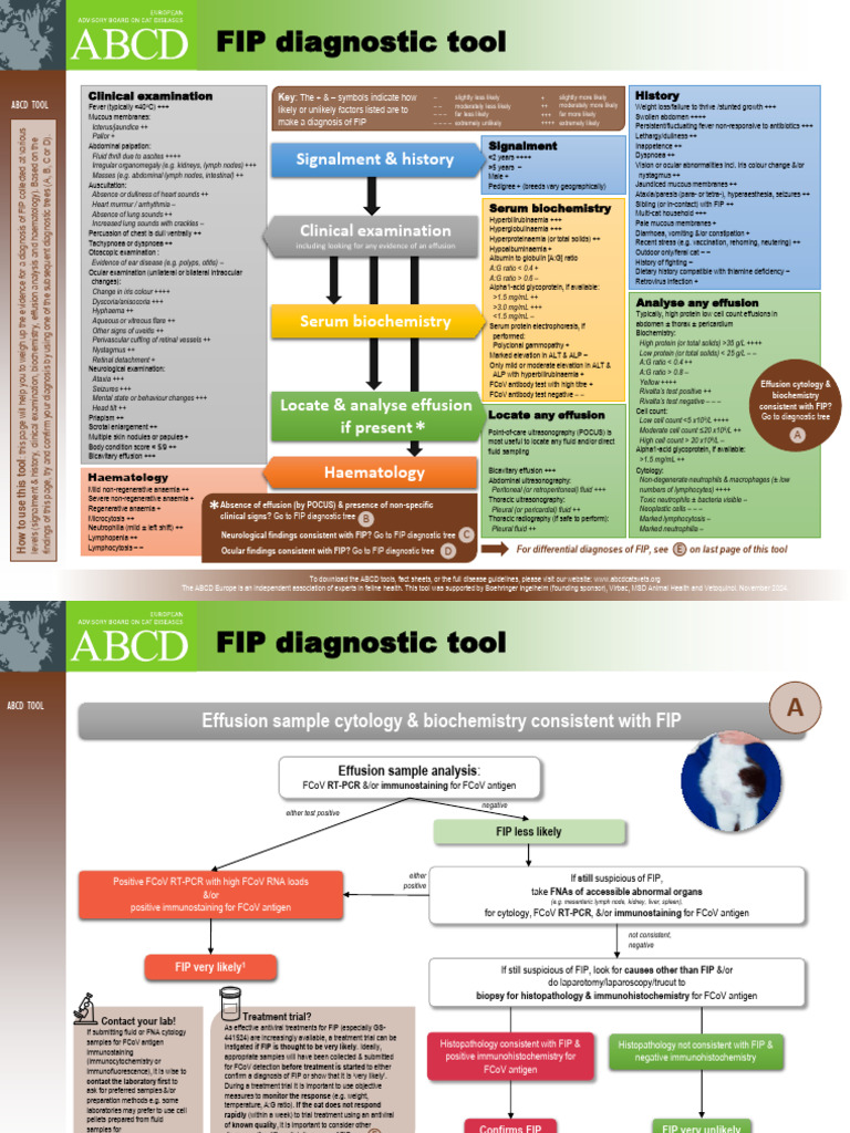 FIP Diagnostic Tool November-2024 | PDF | Cytopathology | Immunostaining