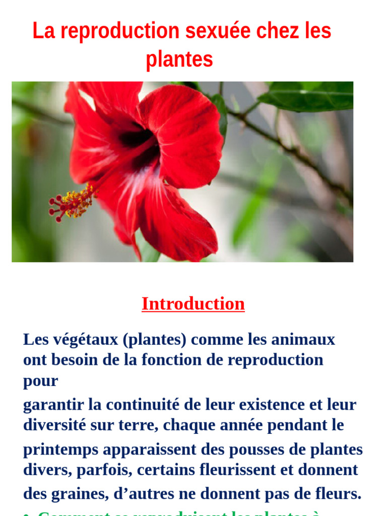 Reproduction sexuée des plantes | PDF | Fleurs | Pollinisation