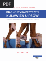 Anatomia Swini Atlas Interaktywny | PDF