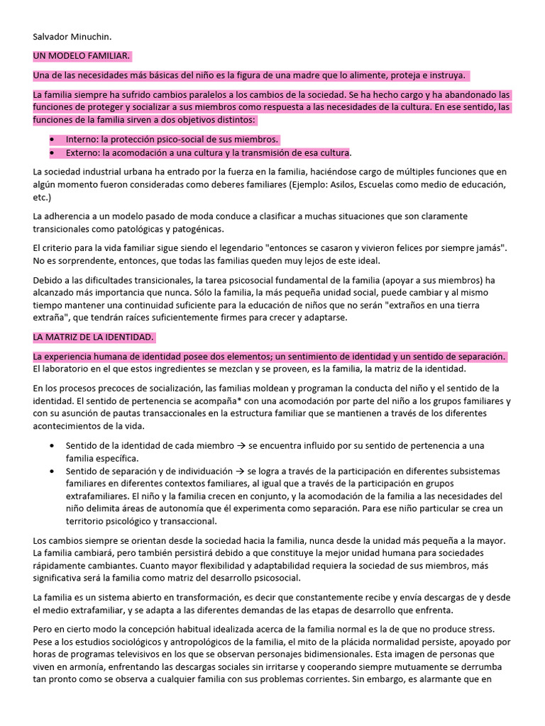 Estructura Familiar según Minuchin | PDF | Familia | Sociedad