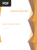 Caída de la Mollera en Bebés: Causas y Tratamiento | PDF | Cráneo