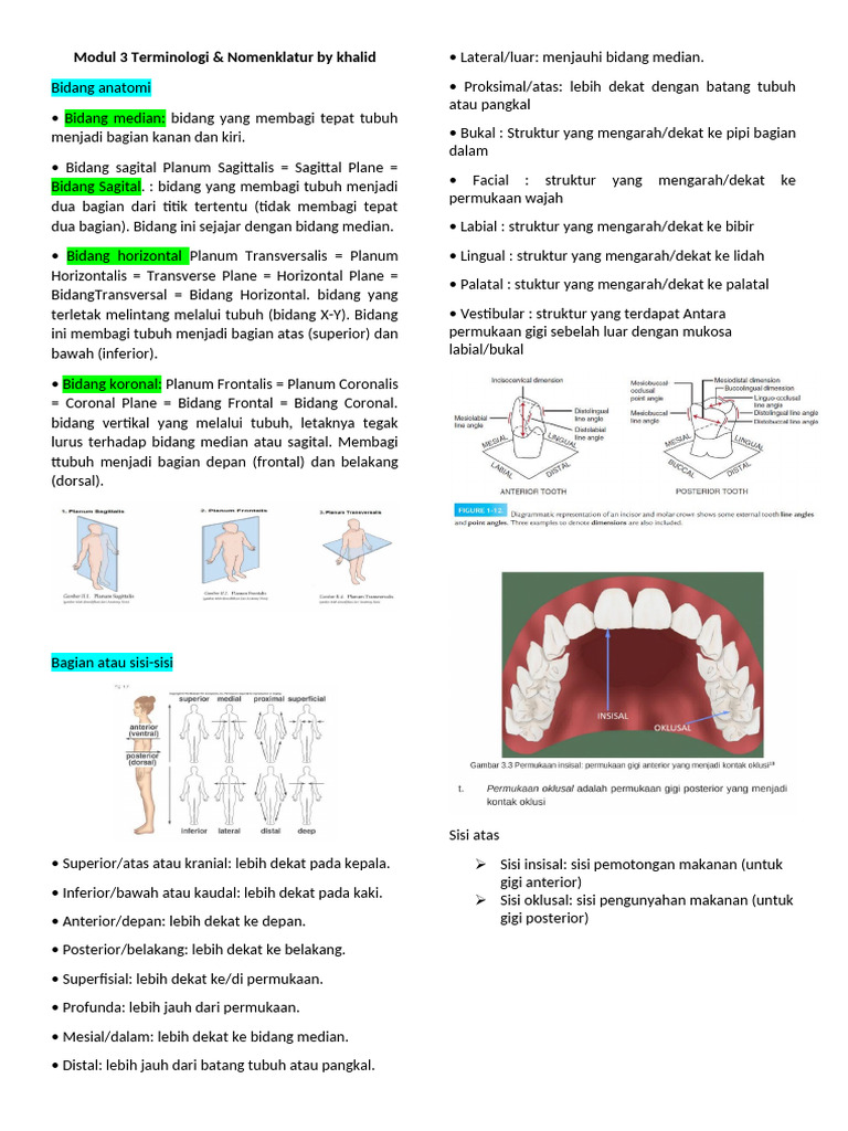 Rangkuman Terminologi Dan Nomenklatur | PDF