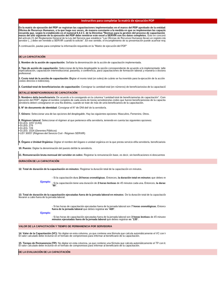 2.3 Matriz de Ejecución Del PDP 2025 para Municipalidades - OK | PDF | Gestión de recursos humanos