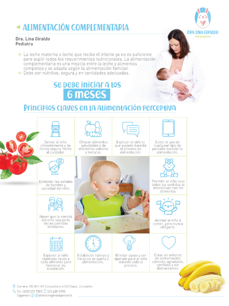Guia Alimentacion Complementaria (1) | PDF