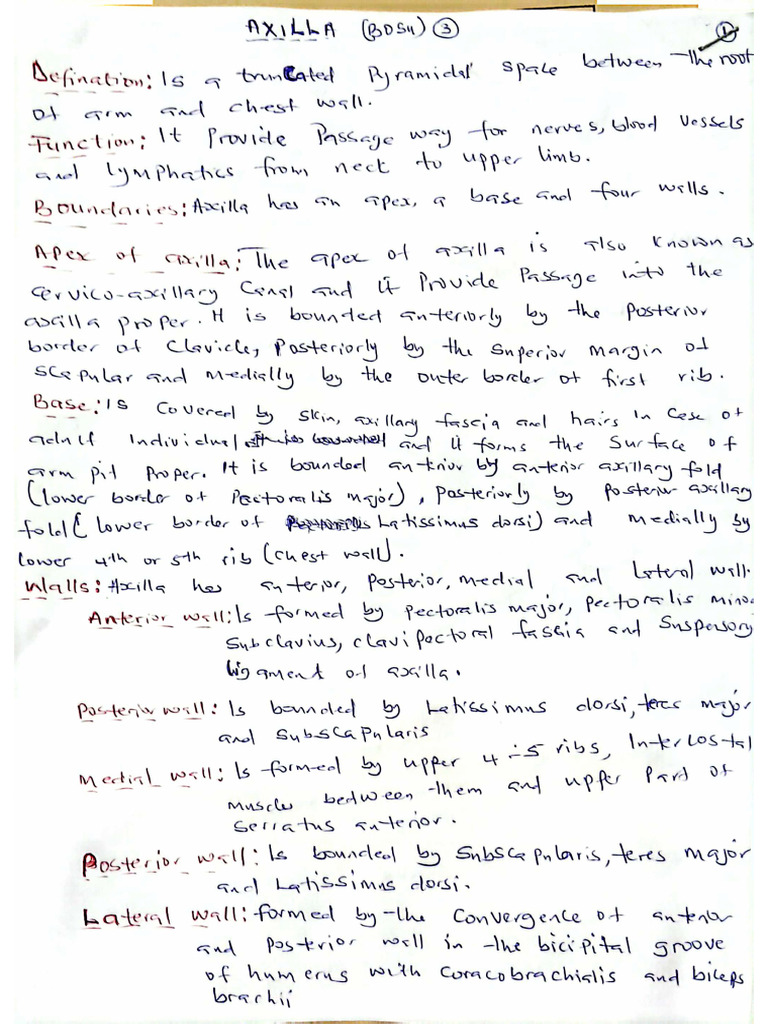 Axilla Ana 201 | PDF