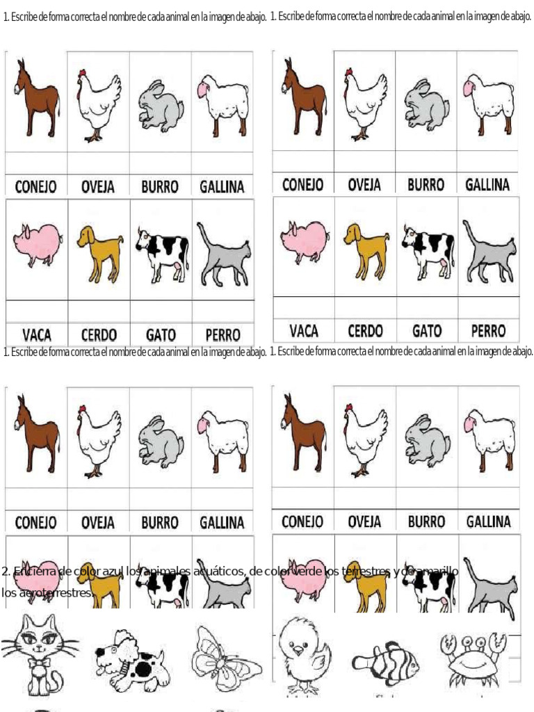 ACTIVIDAD LOS ANIMALES NATURALES 2° | PDF