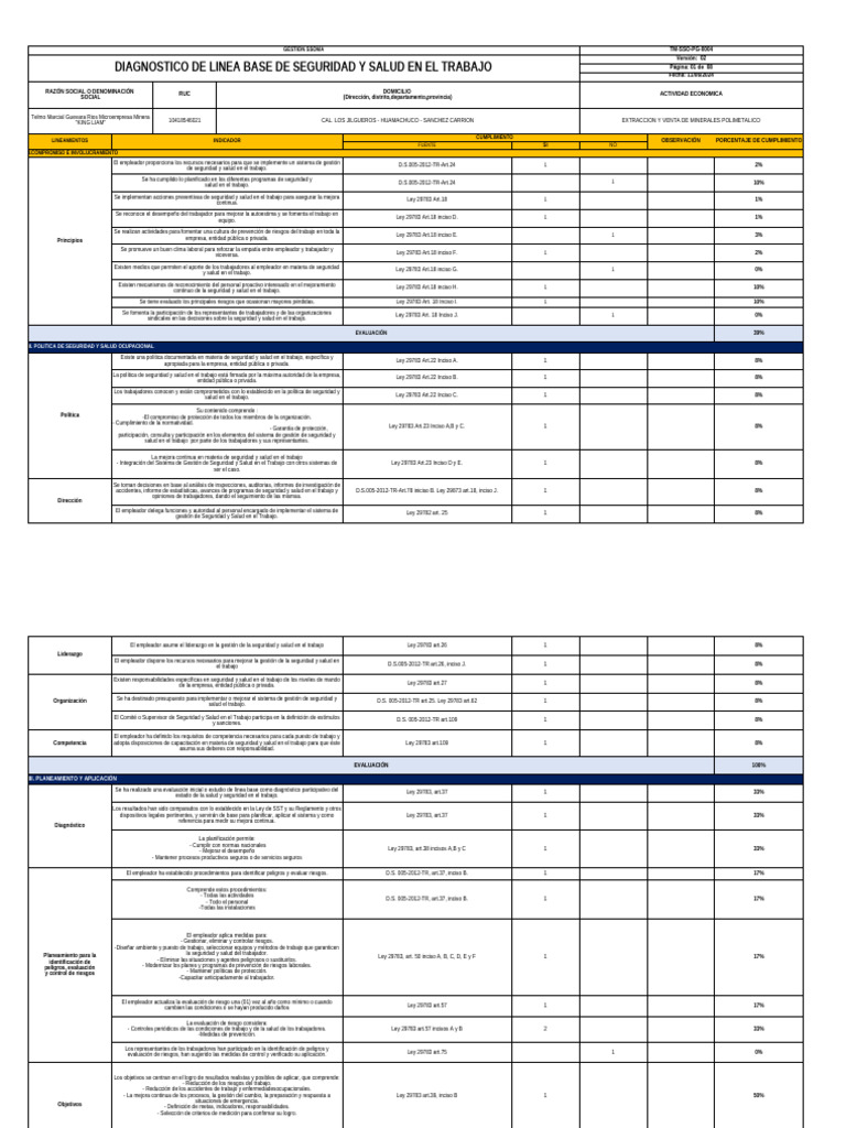BVE-SSO-PG-0004-DIAGNOSTICO DE LINEA BASE DE SST | PDF | Seguridad y salud ocupacional | Business