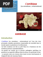 Amibiase Ou Amoebose | PDF | Maladies et troubles | Épidémiologie