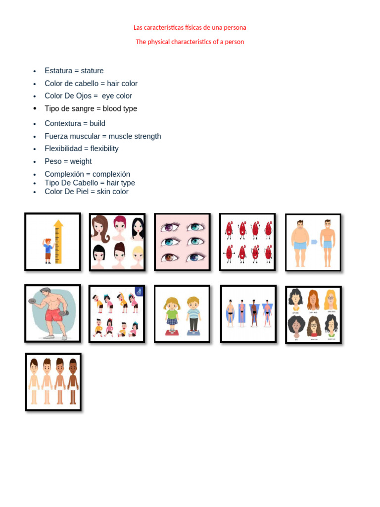 Las Características Físicas de Una Persona | PDF
