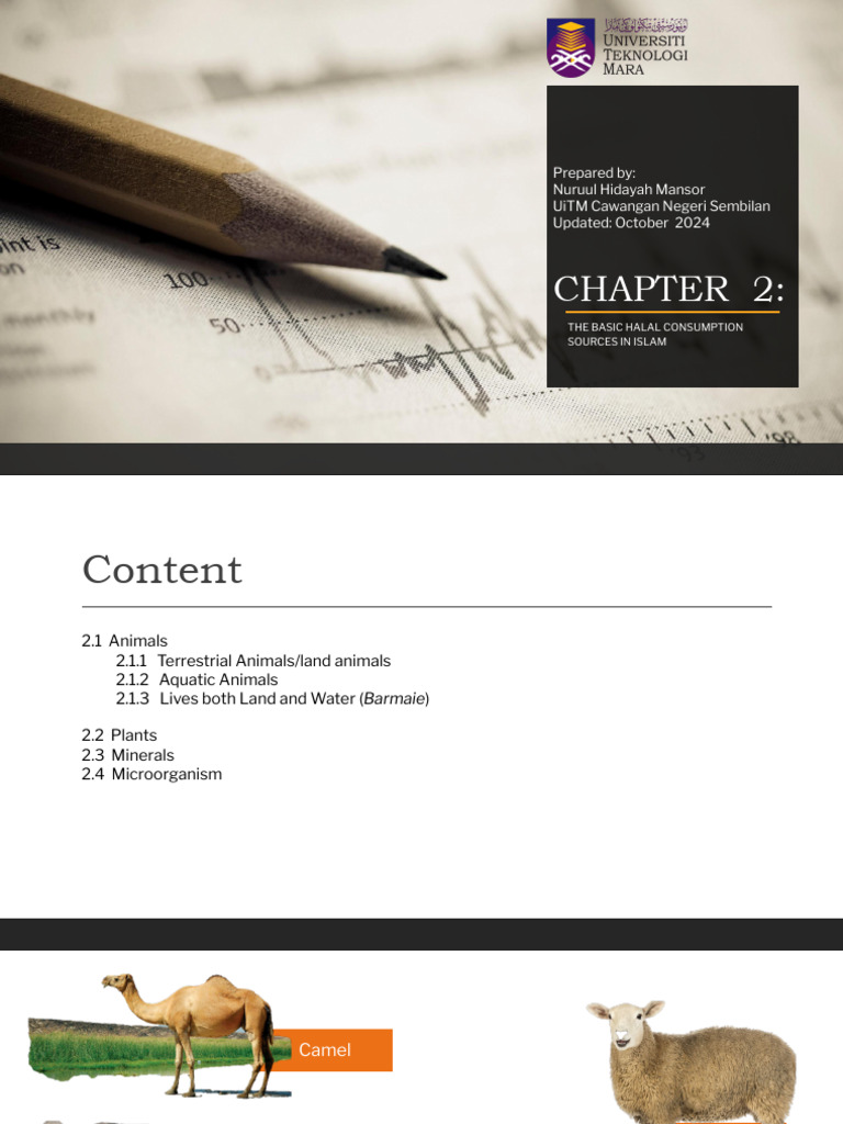 02 CHAPTER 2 ISH101-The Basic Halal Consumption Sources in Islam | PDF ...