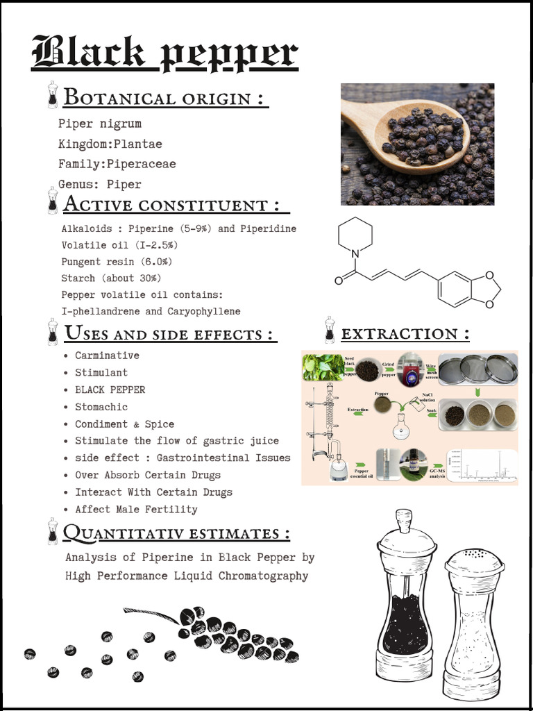Black Pepper: Botanical Origin | PDF
