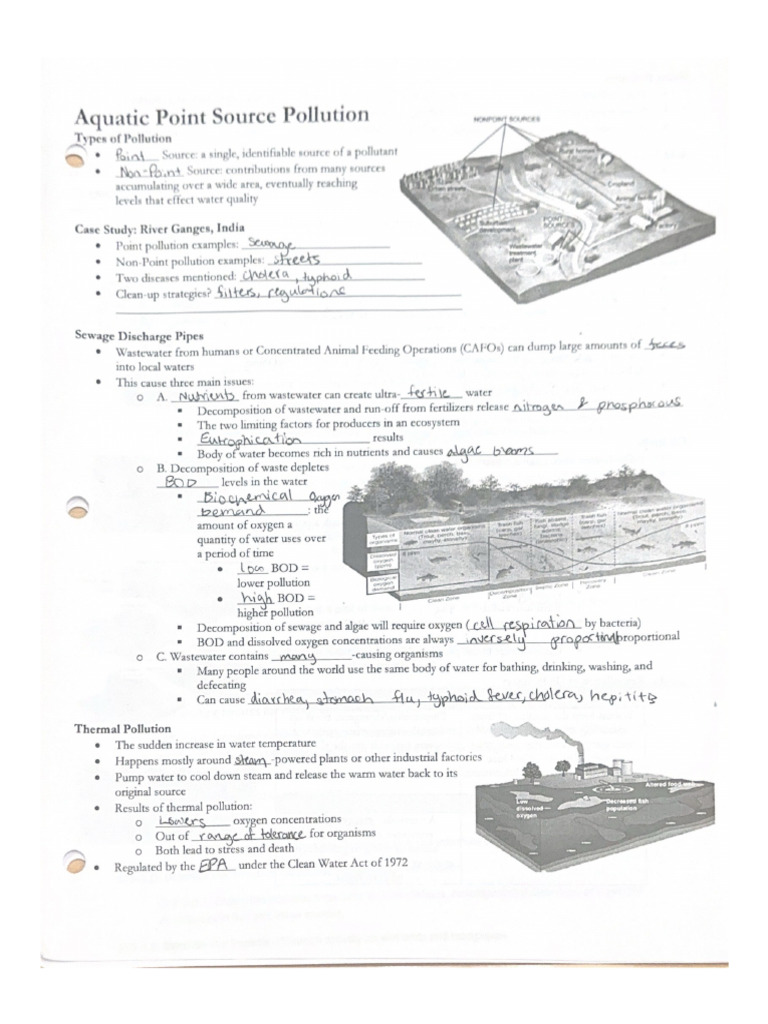 Aquatic Point Source Pollution | PDF