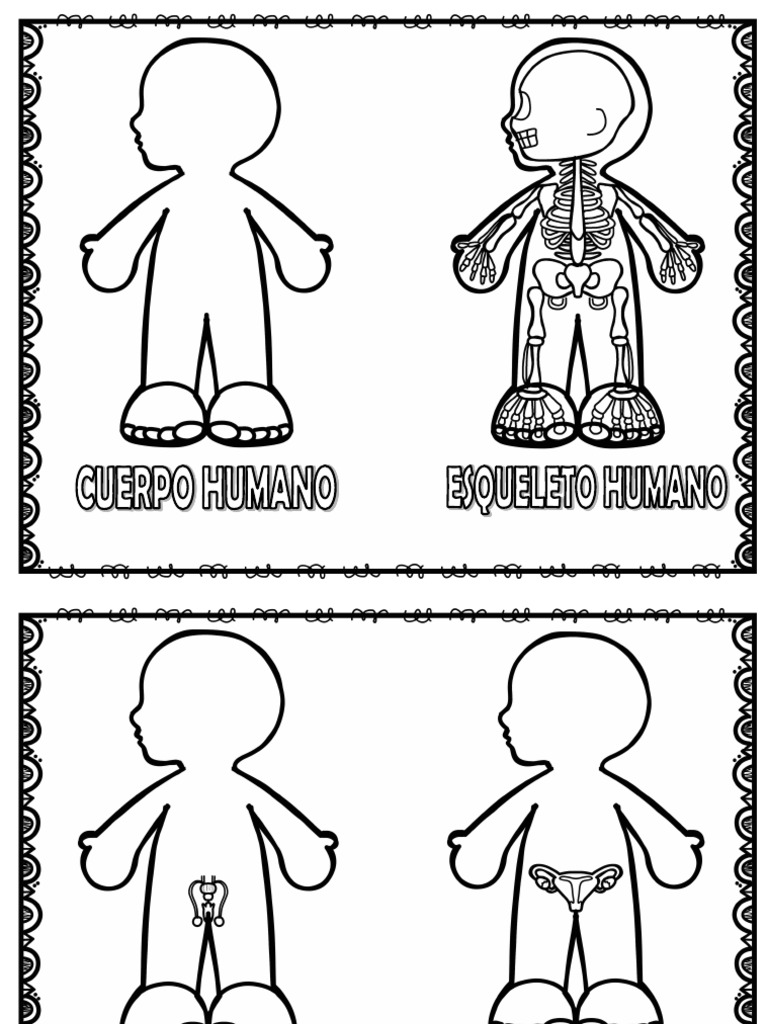 Siste Aparatos CHuma MEEP | PDF