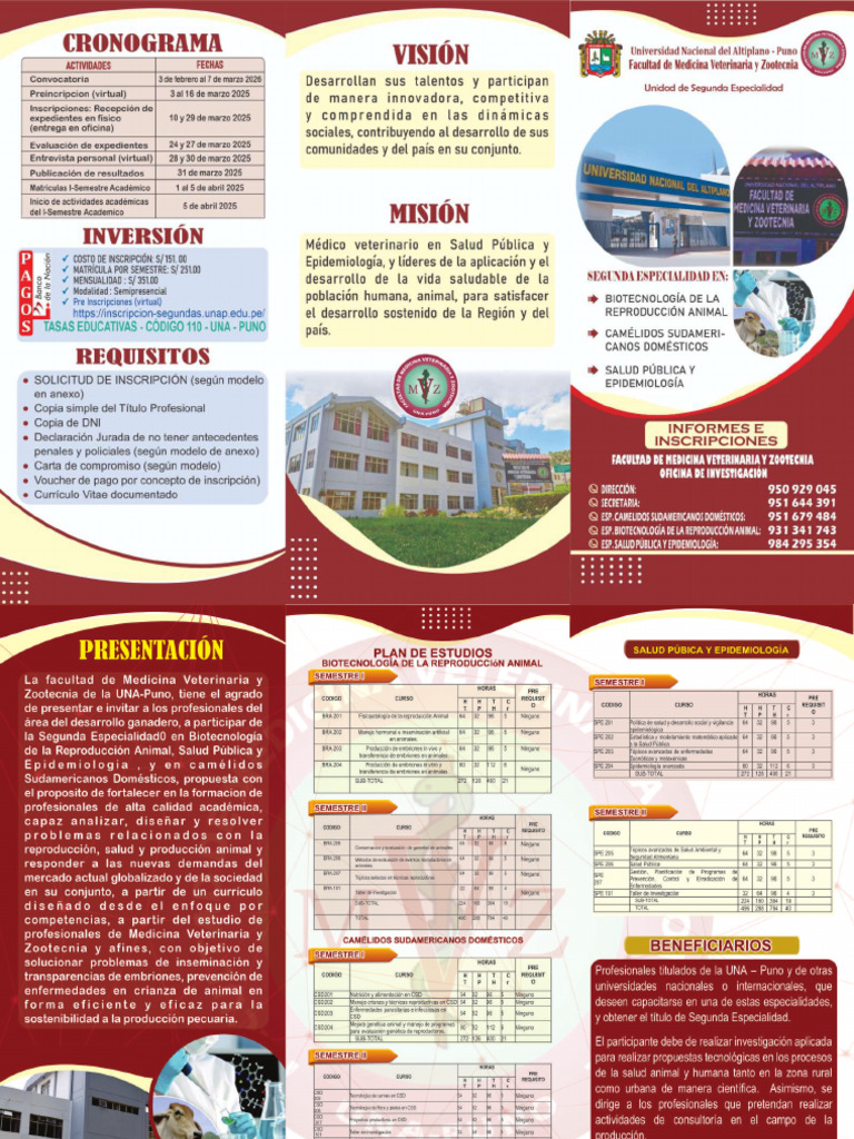 TRIPTICO 2da Especialidad 2025 | PDF