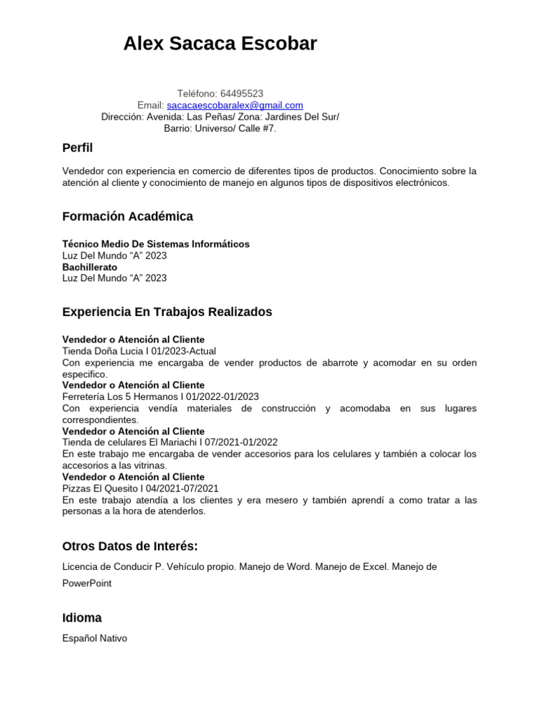 Curriculum Vitae Alex | PDF