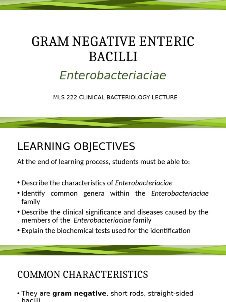 Gram Negative Enteric Bacilli | PDF | Bacteria | Microbiology