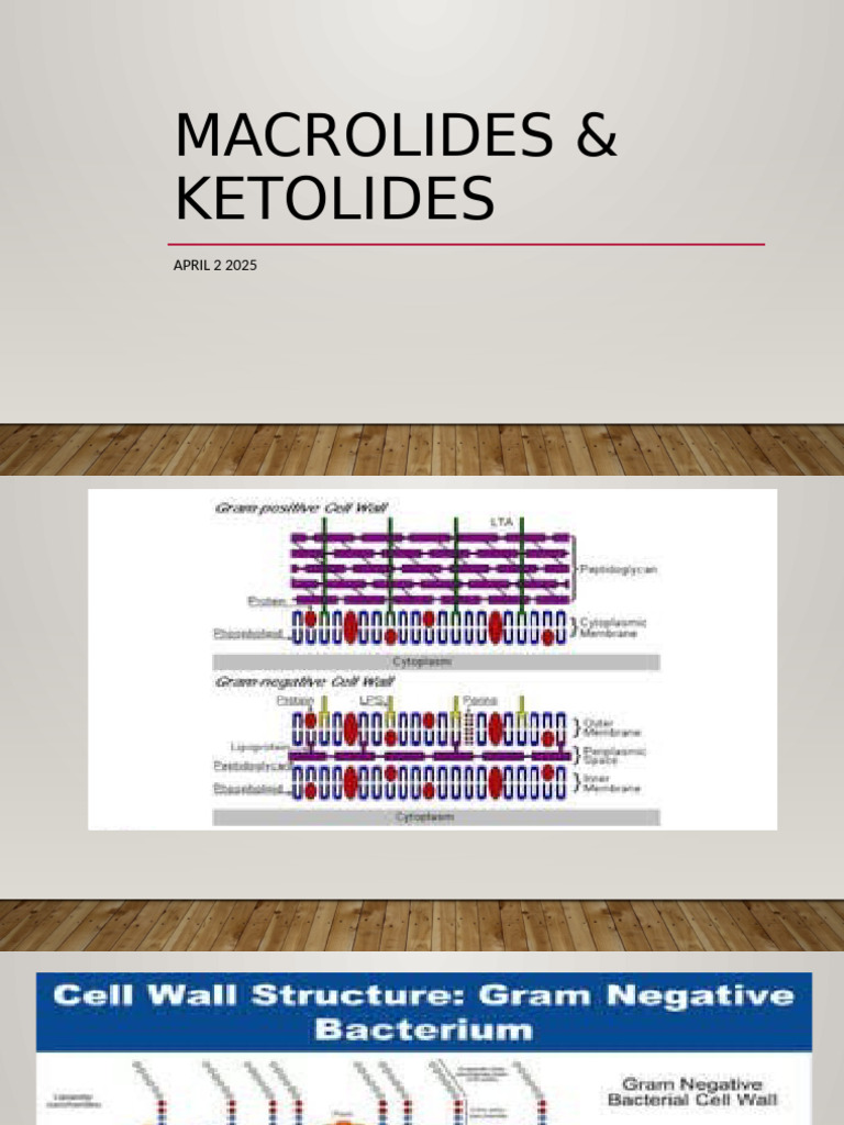 BLOCK 1-Macrolide and Ketolide antibiotics-APRIL 2 2025 | PDF | Medical Specialties