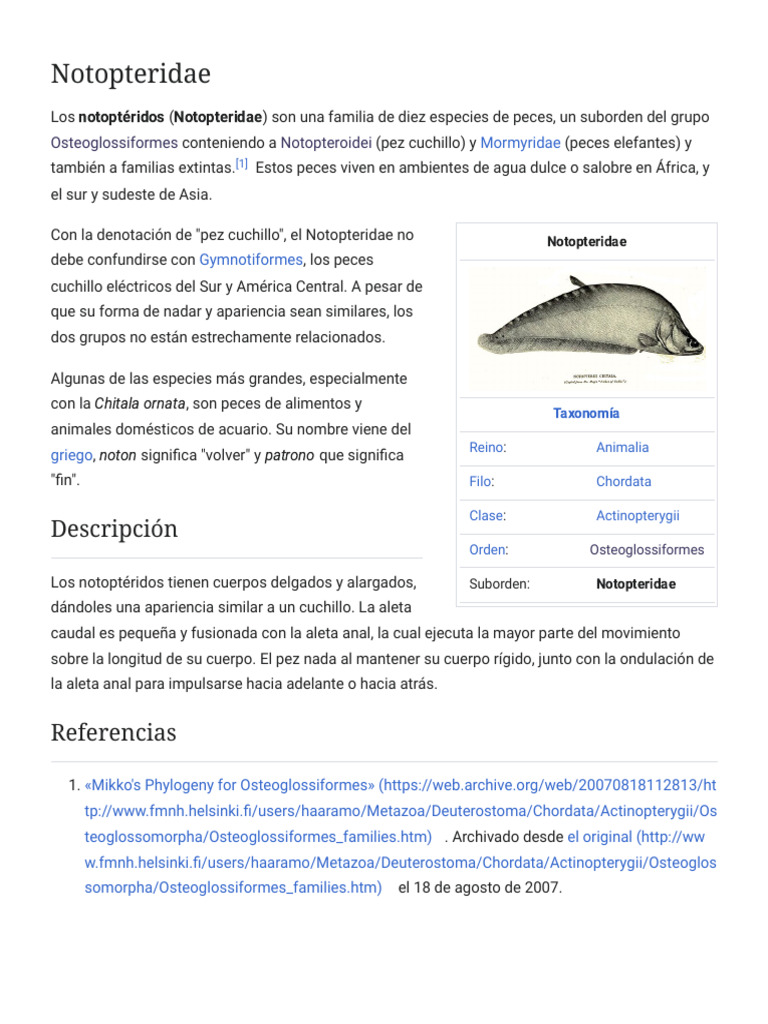 Notopteridae - Wikipedia, la enciclopedia libre | PDF
