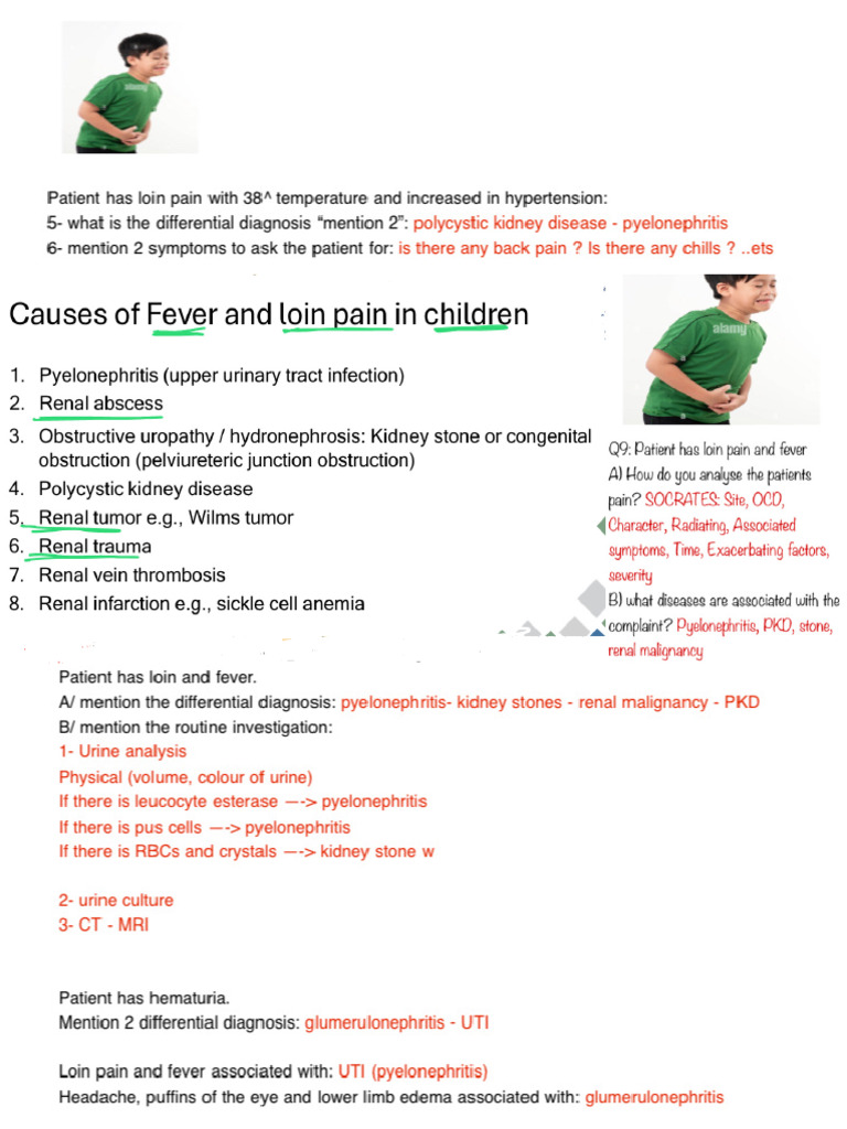 Renal Exam (2) Copy | PDF
