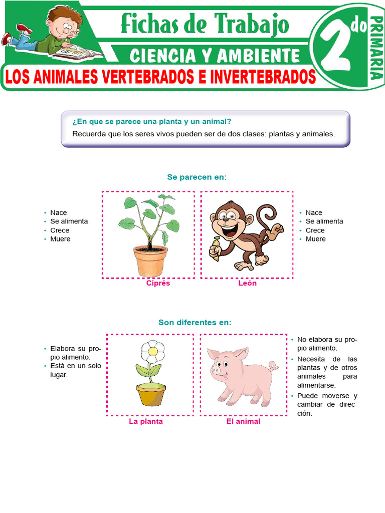 Los-animales-vertebrados-e-invertebrado | PDF | Biología | Zoología