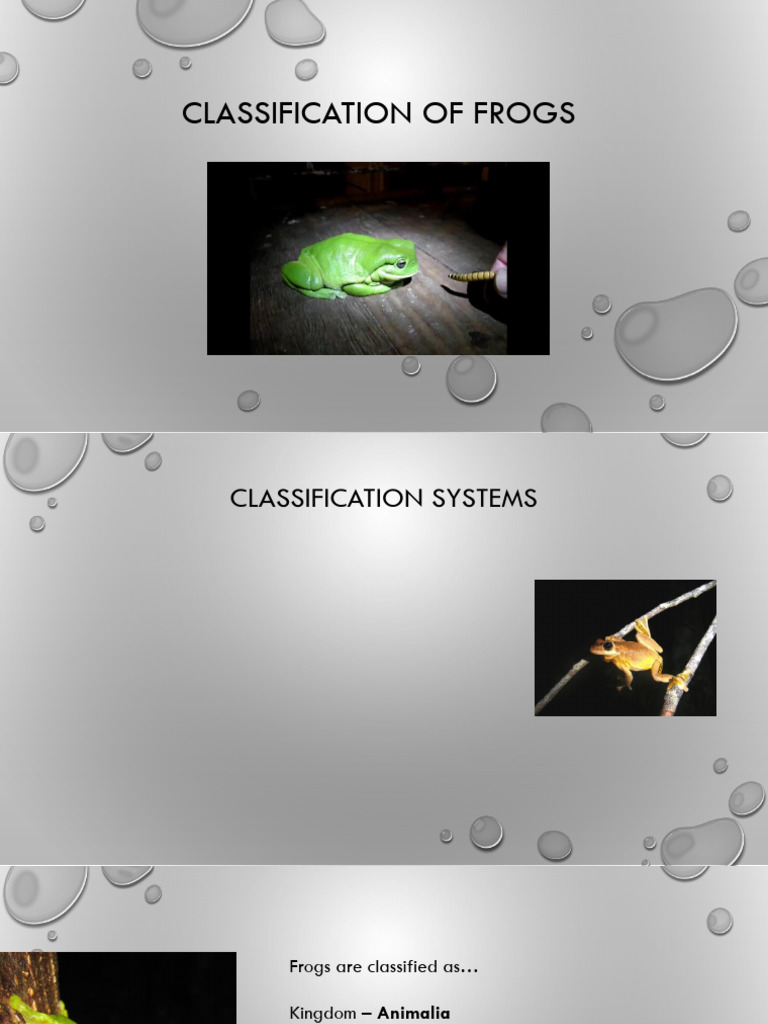 Frog Classification and Taxonomy | PDF | Frog | Amphibian