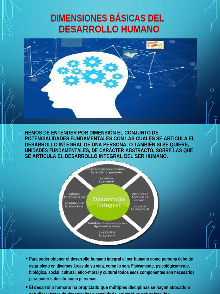 Dimensiones Básicas Del Desarrollo Humano | PDF