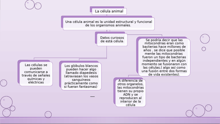Cuadros de Células | PDF