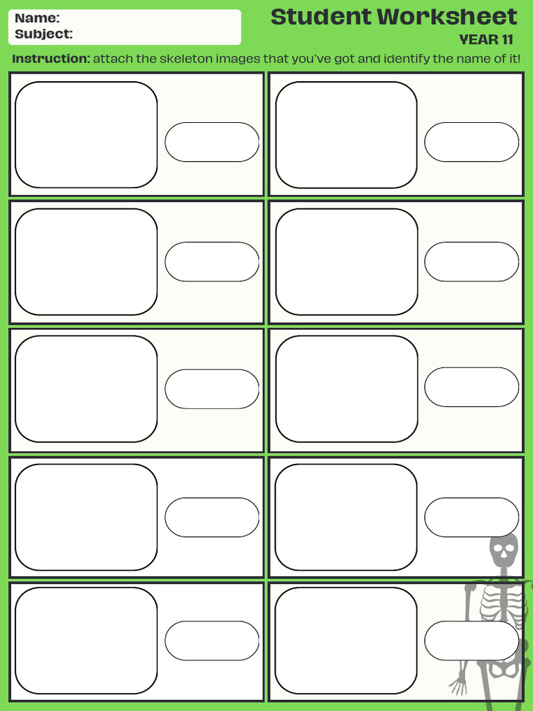 Skeletal System Worksheet | PDF