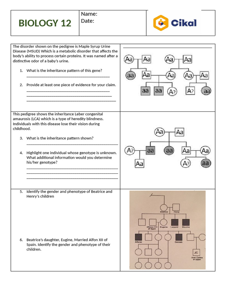 BIOLOGY 12 family pedigree | PDF | Heredity | Genotype