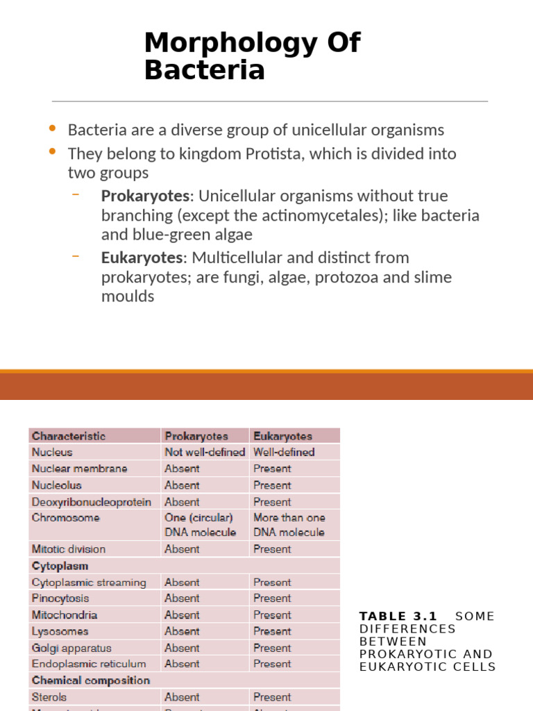 Bacterial Morphology and Structure Overview | PDF | Bacteria | Cell ...