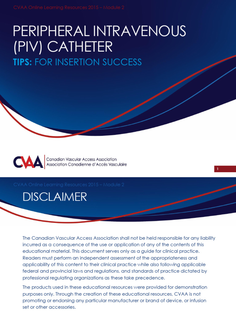 PIV Catheter Insertion Success Tips | PDF | Intravenous Therapy | Vein