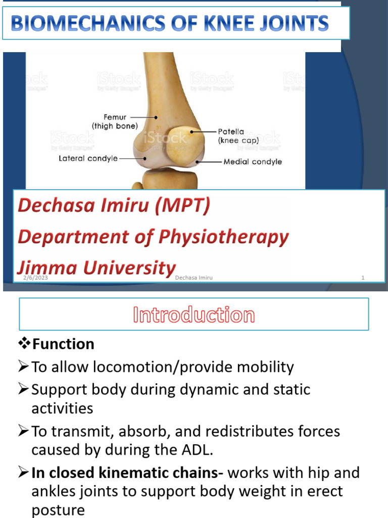 BIOMECHANICS OF KNEE JOINTS 4 2nd Yr | PDF | Knee | Joints