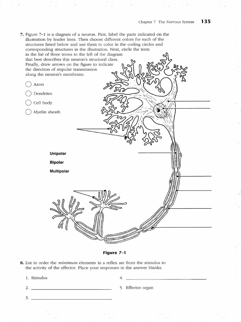 1a P Coloring Workbook Dragged Dragged | PDF