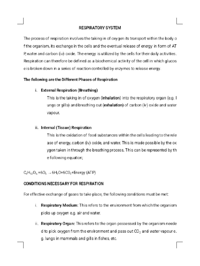 RESPIRATORY SYSTEM 1 - Pho | PDF