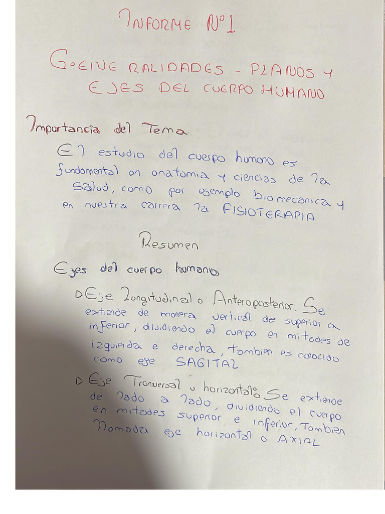 Quispe Vera Aaron Rene Informe 1 | PDF