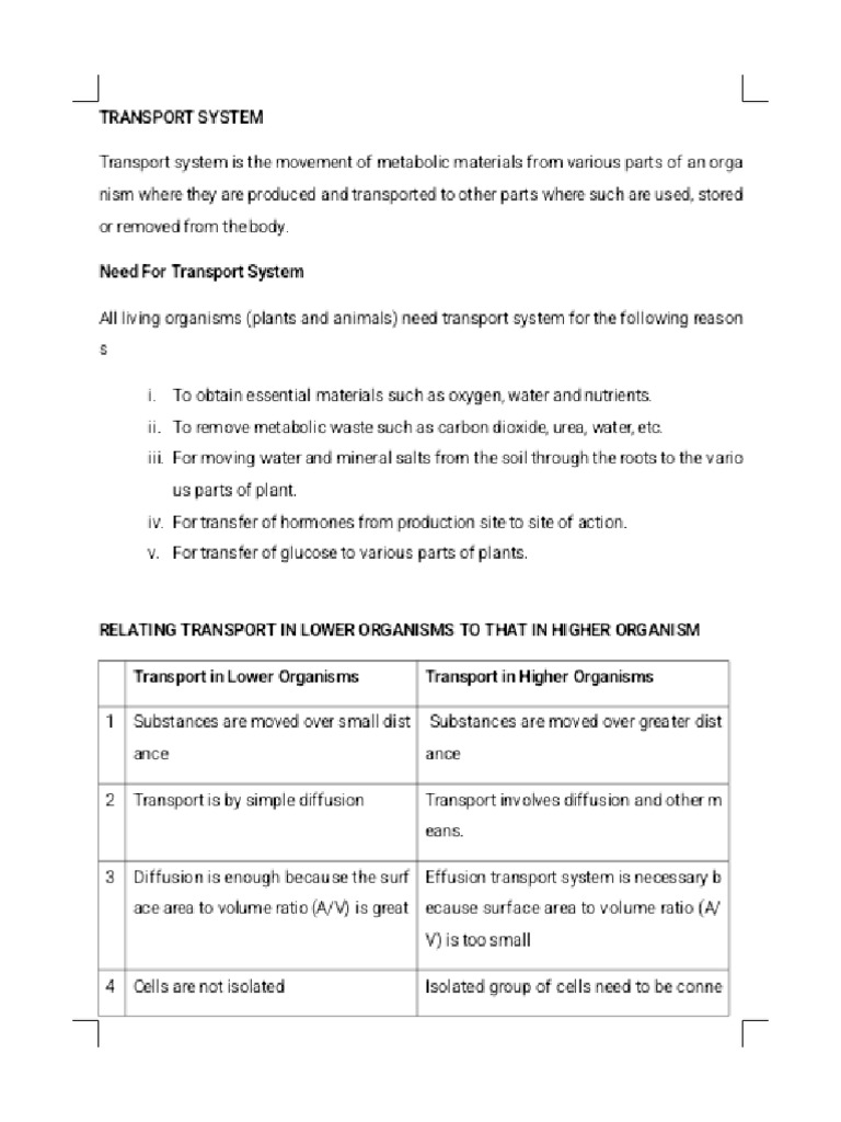 TRANSPORT SYSTEM - Pho | PDF