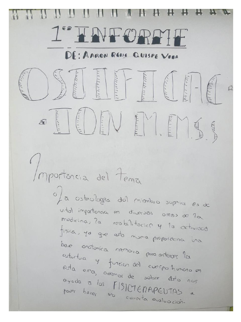 i Imforme II Unidad | PDF